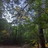 Cape Henry Trail, Virginia - 567 Reviews, Map | AllTrails