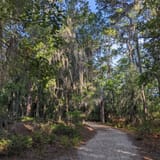 Cape Henry Trail, Virginia - 567 Reviews, Map | AllTrails