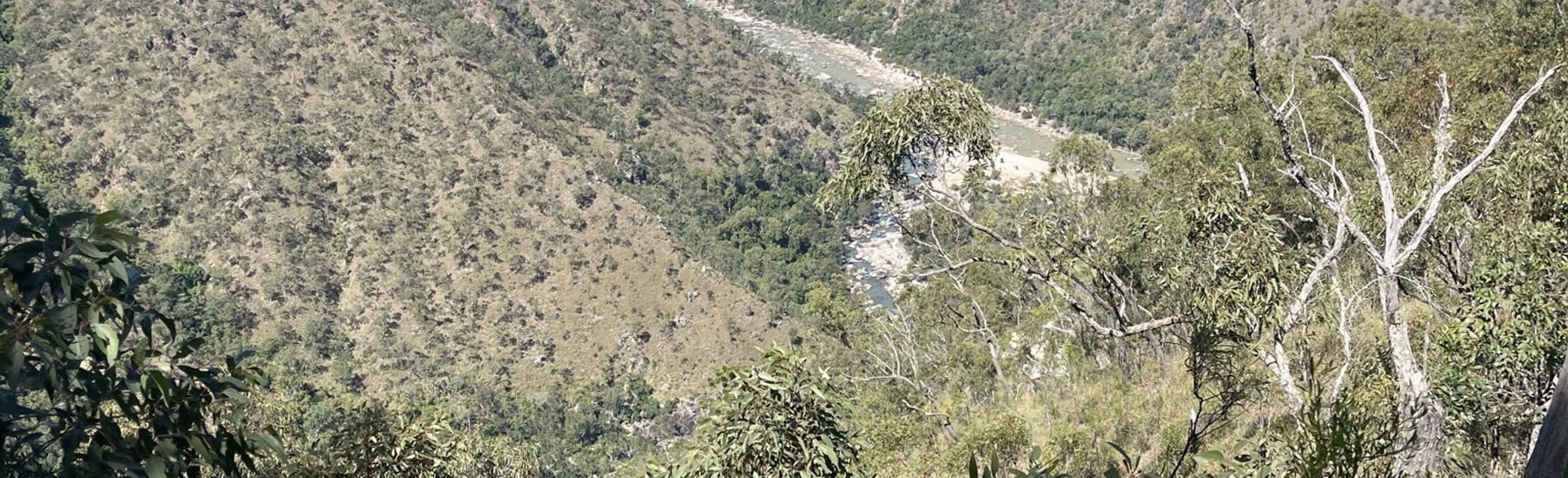 Blencoe Falls and Jabali Track: 9 Reviews, Map - Queensland, Australia ...