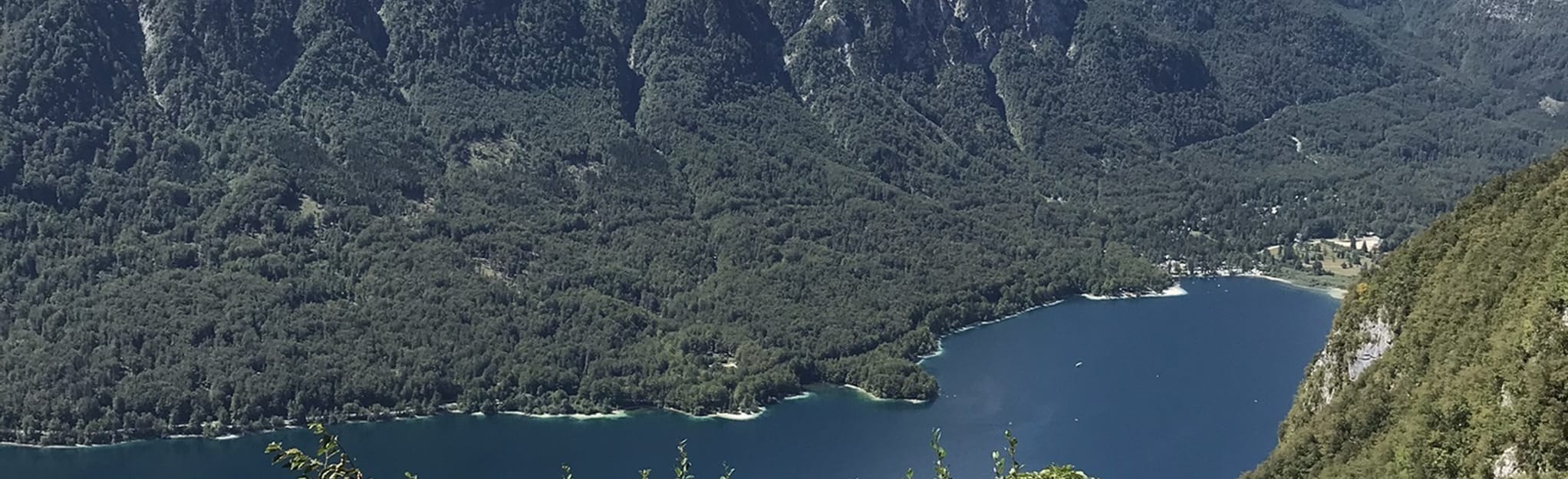 Vogar Viewpoint, Bohinj, Slovenia - 131 Reviews, Map | AllTrails