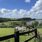 Blackstone Edge Circular, Greater Manchester, England - 178 Reviews, Map | AllTrails