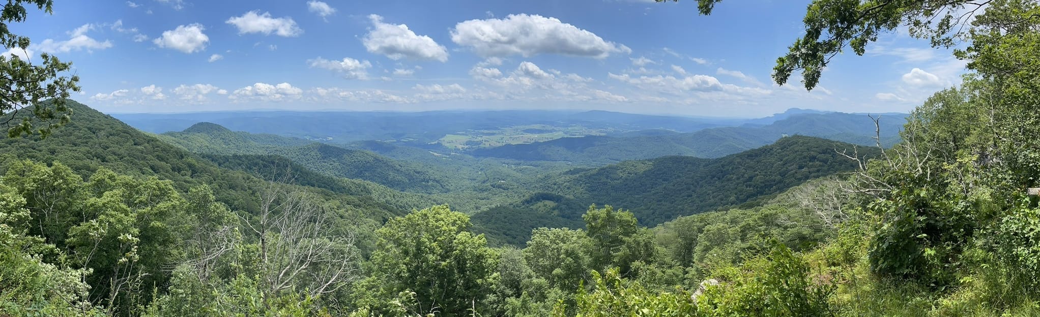 High Rocks Trail, West Virginia - 181 Reviews, Map | AllTrails