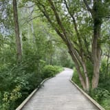 Georgian Trail , Ontario, Canada - 462 Reviews, Map | AllTrails