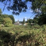 Banstead Woods Nature Circular, Surrey, England - 561 Reviews, Map ...