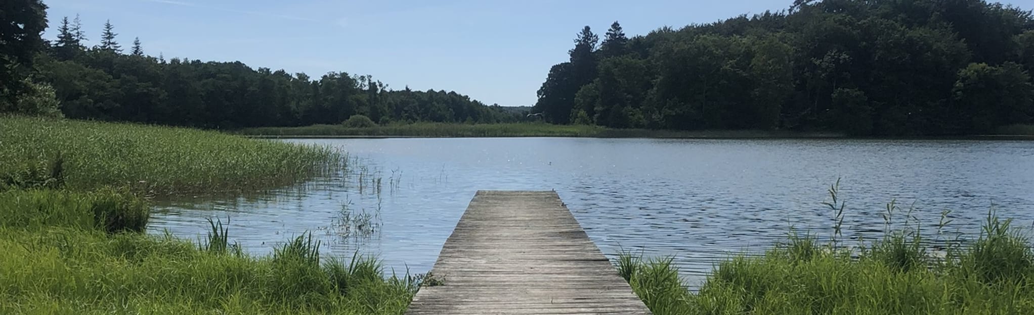 Bagsværd Station - Vedbæk Station: 3 Reviews, Map - Capital Region of ...