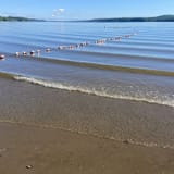 Kingston Point Rail Trail, New York - 204 Reviews, Map | AllTrails