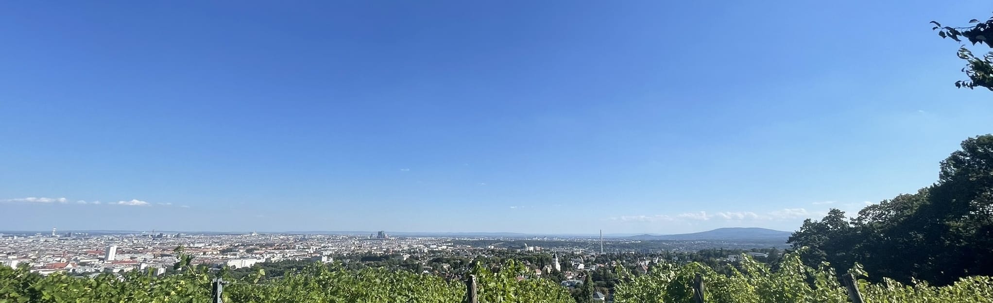 Schloss Wilhelminenberg: 4 Reviews, Map - Vienna, Austria | AllTrails