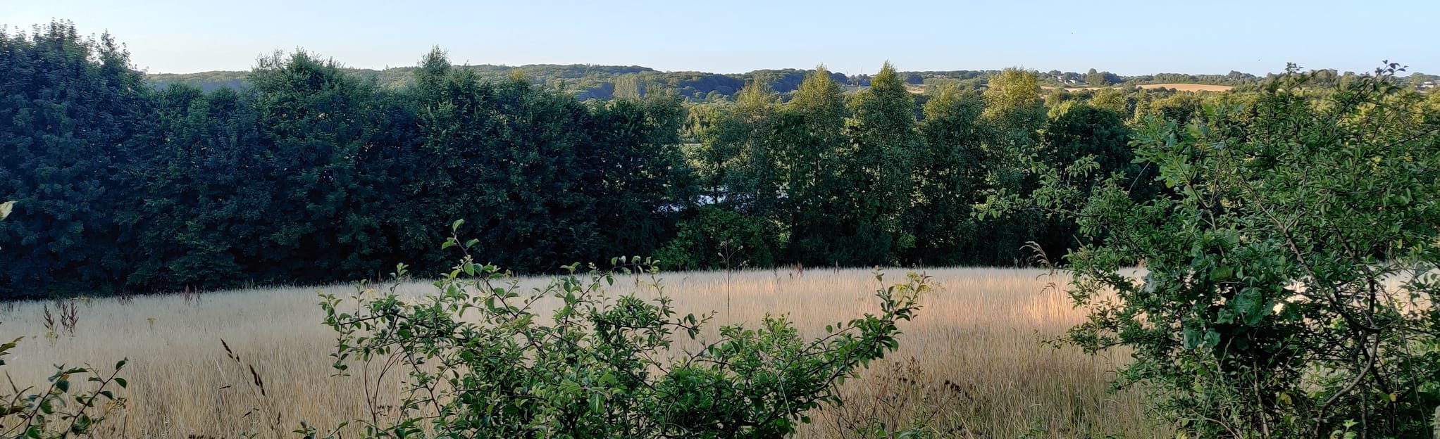 Stenskoven - Tåstrup Sø: 16 Fotos - Region Mitteljütland, Dänemark ...