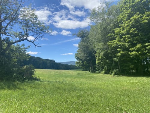 Best 10 Hikes and Trails in Mount Greylock State Reservation | AllTrails