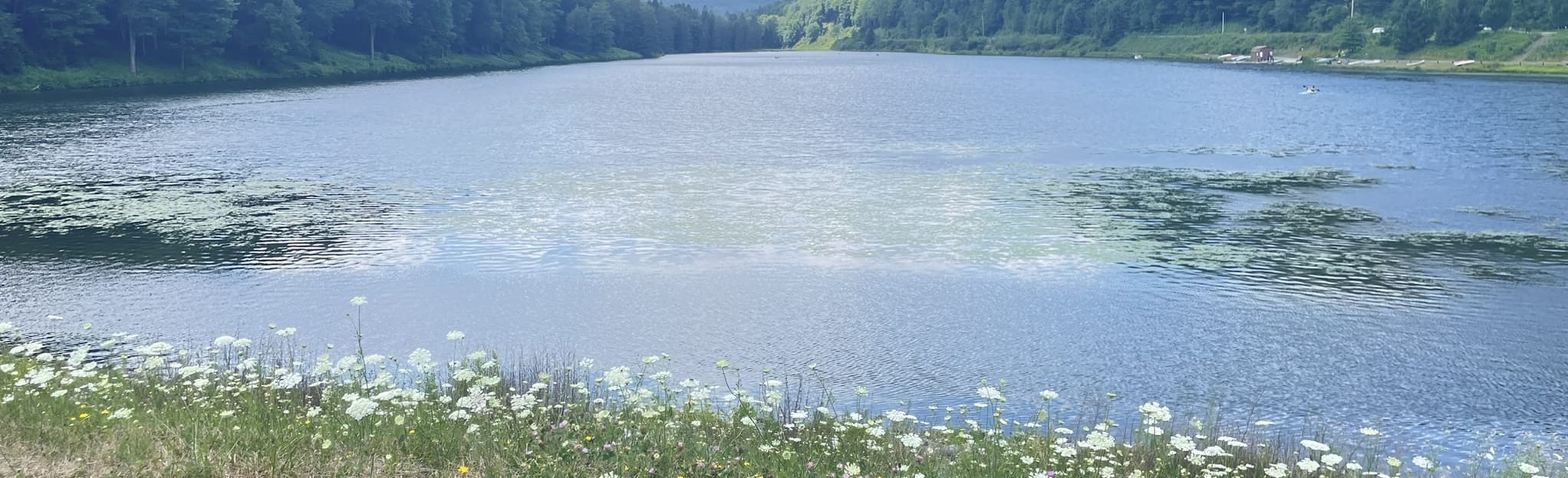 Lyman Run Trail, Pennsylvania - 45 Reviews, Map | AllTrails