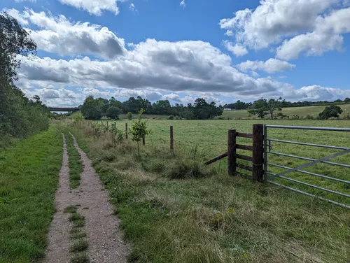 10 Best Trails, Walks, and Paths in Chester | AllTrails
