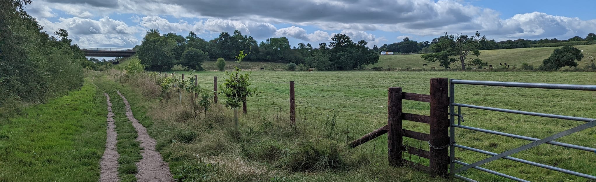 Chester Meadows and River Dee Circular, Cheshire, England - 45 Reviews ...