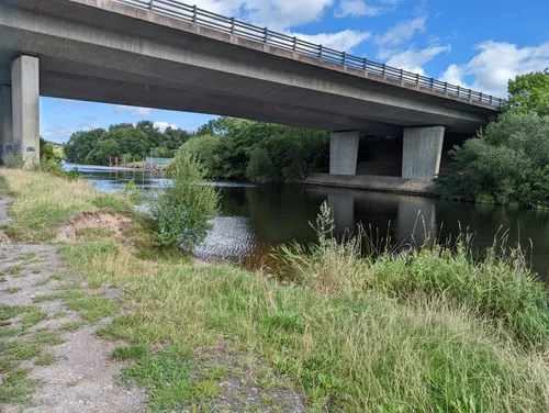 10 Best Trails, Walks, and Paths in Chester | AllTrails