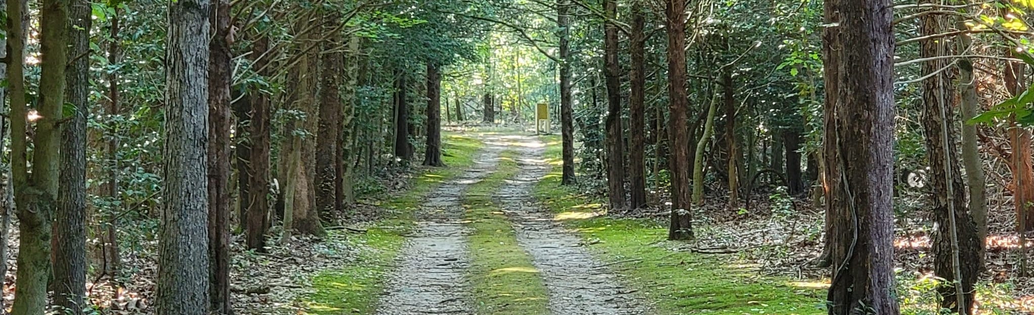 Scotland Run Nature Trail: 95 Reviews, Map - New Jersey | AllTrails