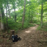 Louisville Loop, Kentucky - 427 Reviews, Map | AllTrails