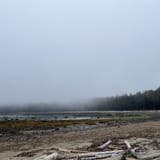 Sand Point Trail, Washington - 296 Reviews, Map | AllTrails