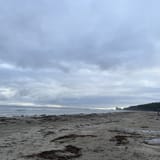 Sand Point Trail, Washington - 296 Reviews, Map | AllTrails