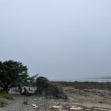 Sand Point Trail, Washington - 296 Reviews, Map | AllTrails