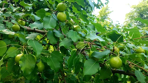 Best Hikes and Trails in Larimore Dam Recreation Area | AllTrails