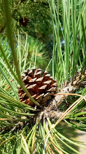 Best Hikes and Trails in Larimore Dam Recreation Area | AllTrails