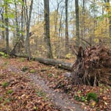 Ice Age Trail: Southern Ringle Segment, Wisconsin - 96 Reviews, Map ...