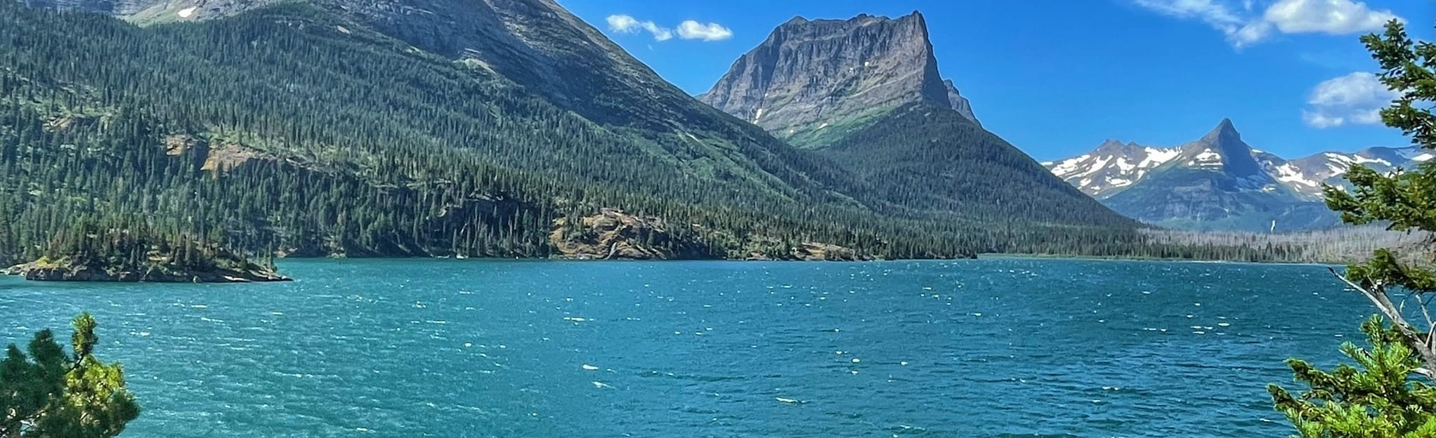 Sun Point Nature Trail, Montana - 293 Reviews, Map | AllTrails