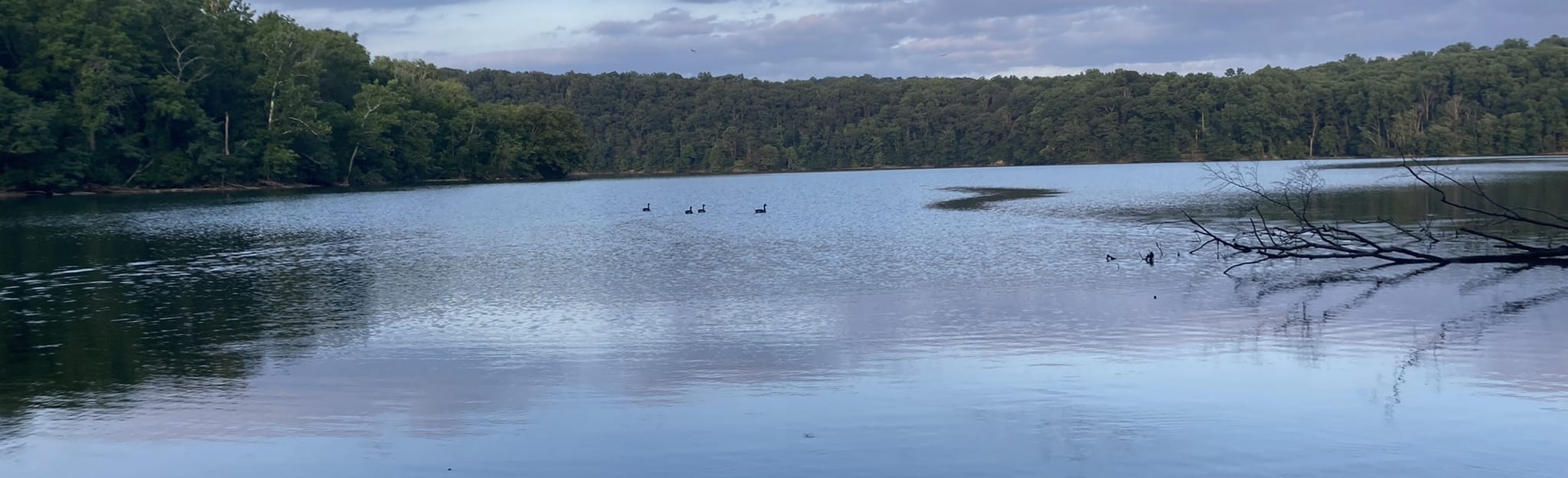 Merryman's Mill Point Loop, Maryland - 475 Reviews, Map | AllTrails