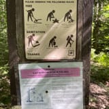 Grout Pond Trail, Vermont - 262 Reviews, Map | AllTrails
