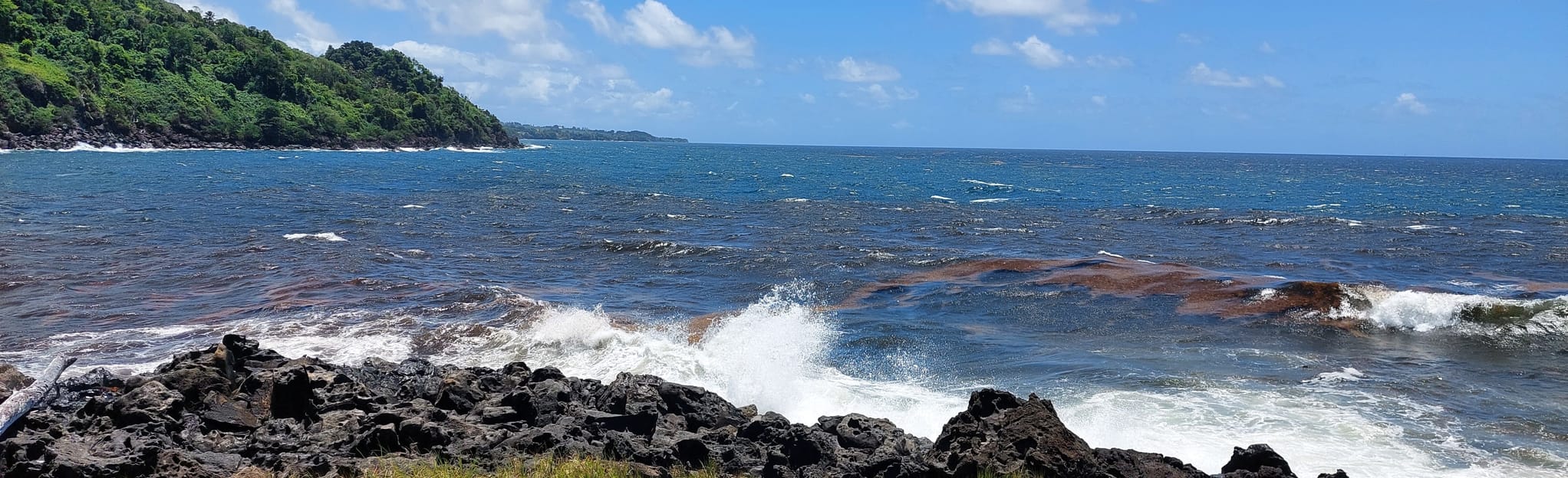 Le Sentier de la Grande Pointe: 26 Reviews, Map - Basse-Terre ...