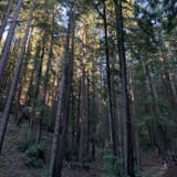 Tres Sendas Trail, California - 276 Reviews, Map | AllTrails