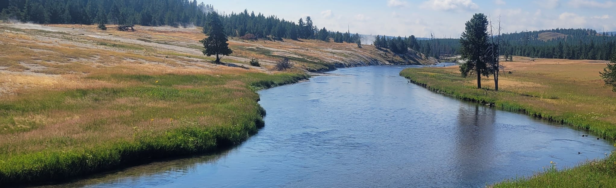 Old Faithful to Madison Junction, Montana - 185 Reviews, Map | AllTrails