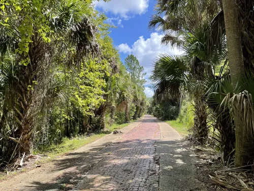 Best Hikes and Trails in Tiger Bay State Forest | AllTrails
