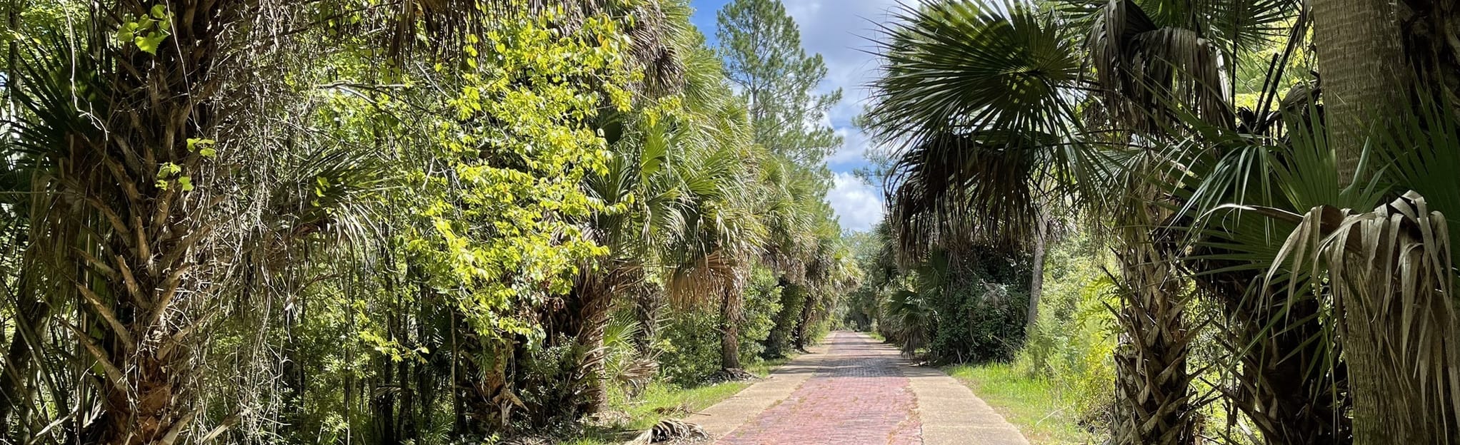 Pershing Highway Interpretive Trail, Florida - 48 Reviews, Map | AllTrails