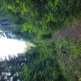 Crabtree Lake Trail, Oregon - 56 Reviews, Map | AllTrails