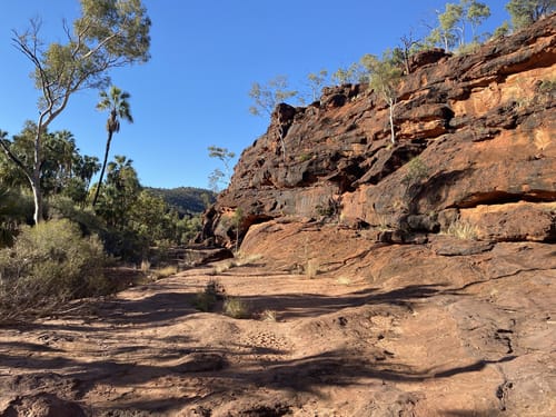 Best Hikes and Trails in Finke Gorge National Park | AllTrails