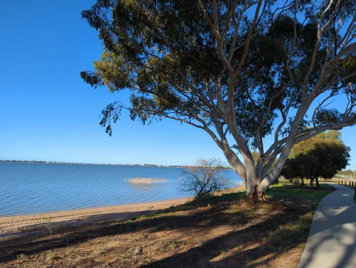 Best Hikes and Trails in Lake Boga | AllTrails