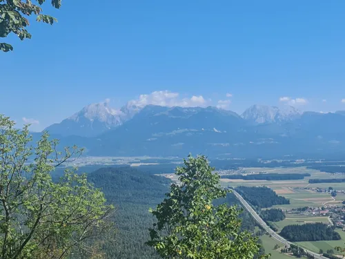 Best Forest Trails in Medvode | AllTrails