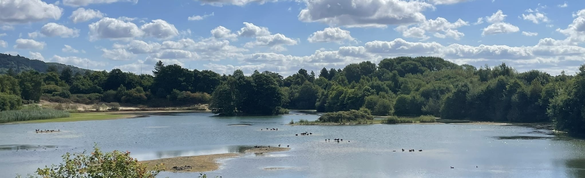 Mercer’s Lakes Circular: 69 foto's - Surrey, Engeland | Wandelen ...