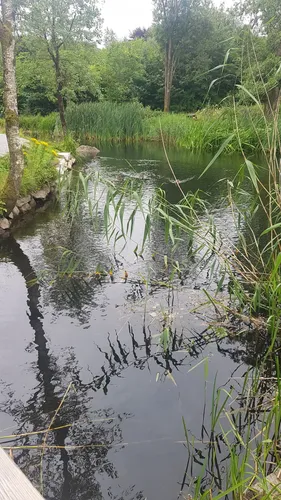 Best Hikes and Trails in Sandved Park and Lake Stokkalandsvatn | AllTrails