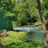 Welch Spring Trail, Missouri - 111 Reviews, Map | AllTrails