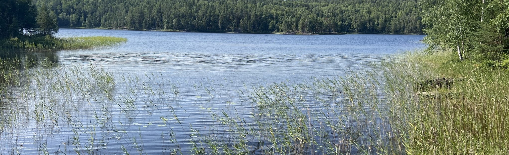 Repovesi Cycling Route, South Savo, Finland - 5 Reviews, Map | AllTrails