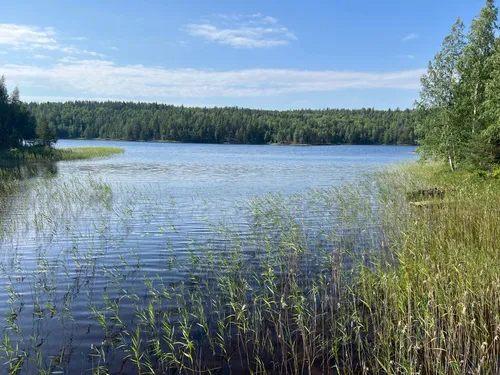 Best 10 Hiking Trails in Repovesi National Park | AllTrails