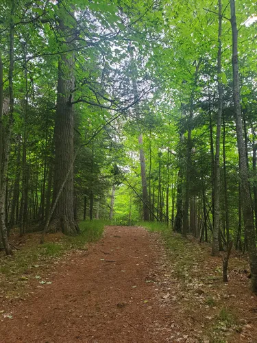 Best Hikes and Trails in Presque Isle Park | AllTrails