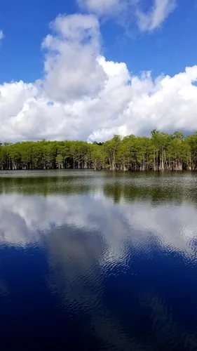 Best Hikes and Trails in Pine Log State Forest | AllTrails