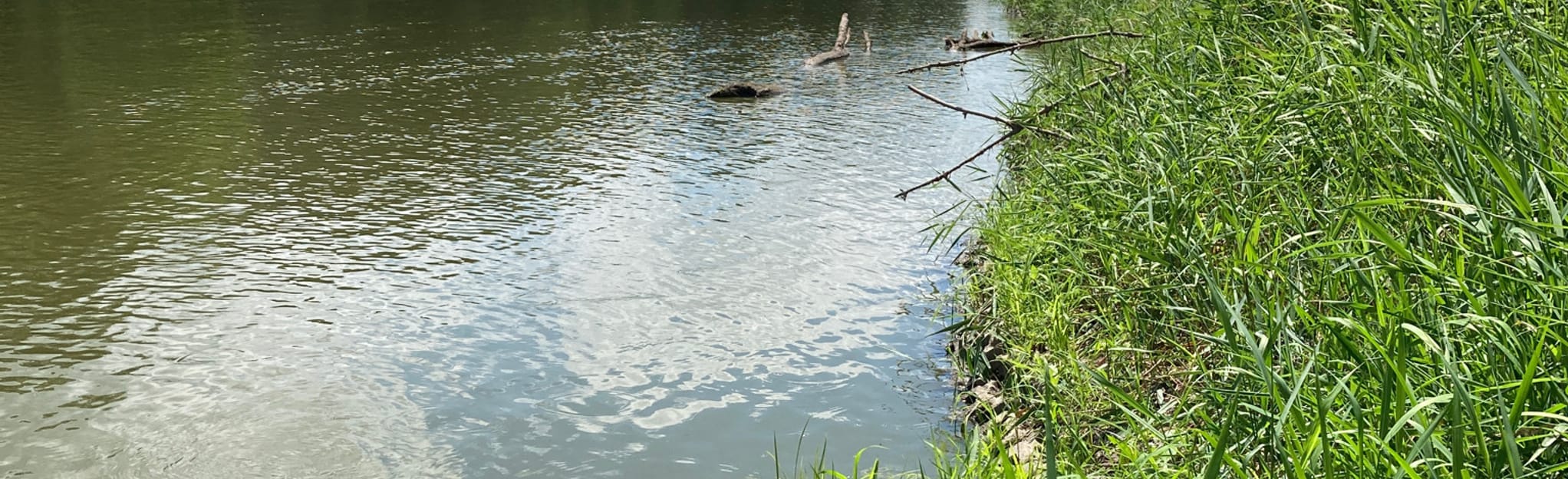 Aztalan Trails, Wisconsin - 253 Reviews, Map | AllTrails