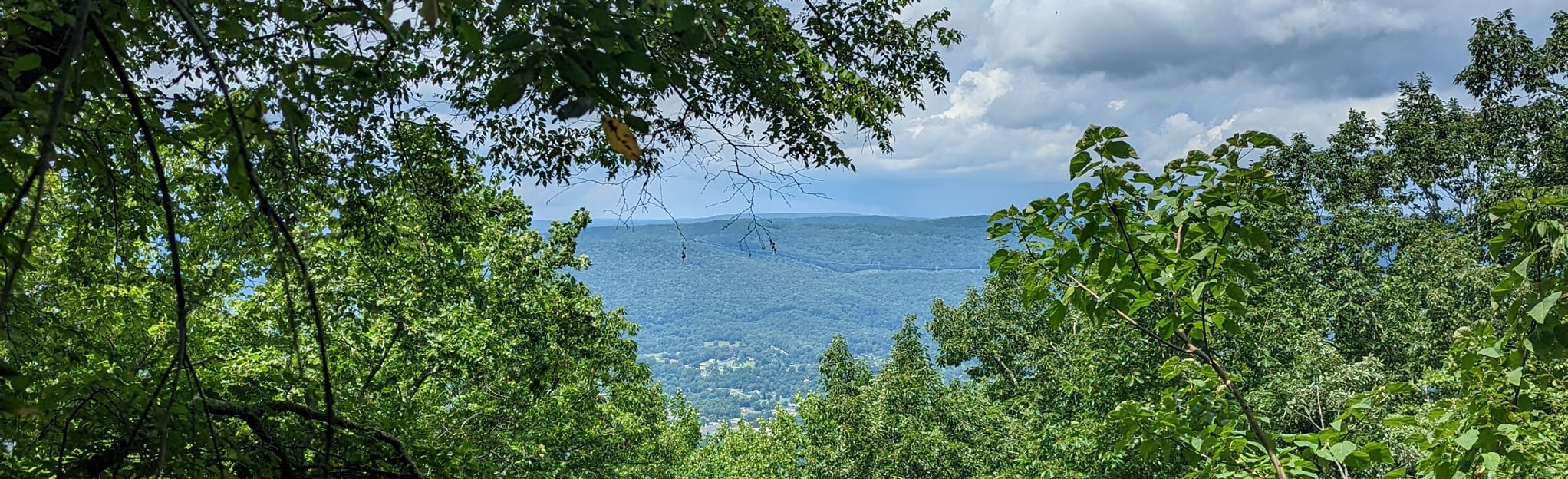 Upper Truck Trail to Bluff Trail Loop: 212 Reviews, Map - Tennessee ...