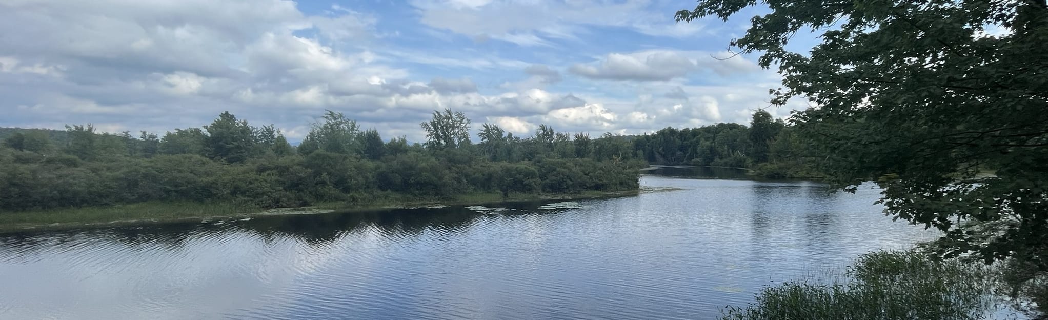 The Wild Center: 64 Reviews, Map - New York | AllTrails