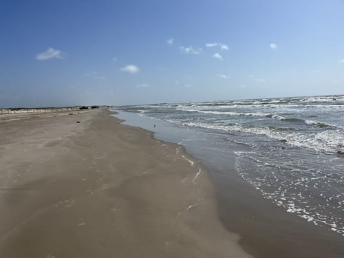 Best Hikes and Trails in Mustang Island State Park | AllTrails