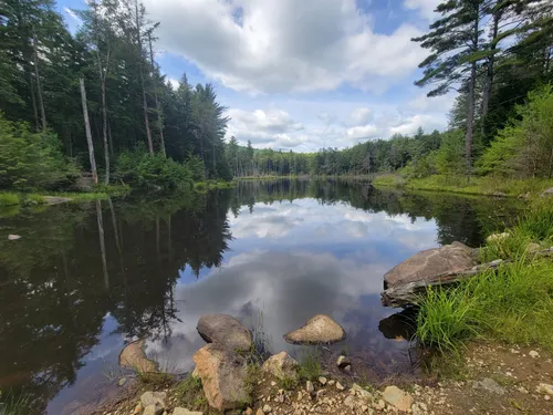 10 Best Hikes and Trails in Lake George Wild Forest | AllTrails