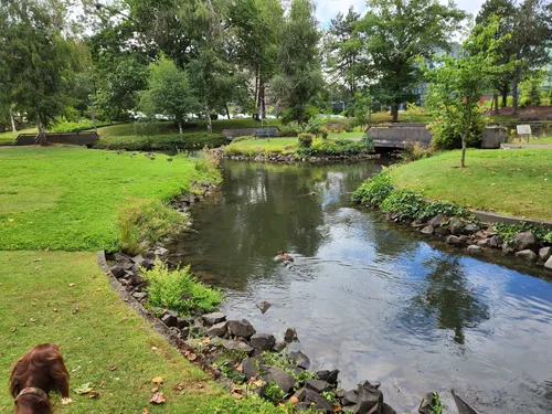 Best Hikes and Trails in Pringle Park | AllTrails